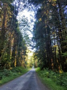 Queets Campground - Olympic National Park | Park Ranger John