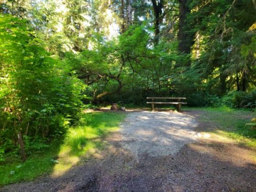 Queets Campground - Olympic National Park | Park Ranger John