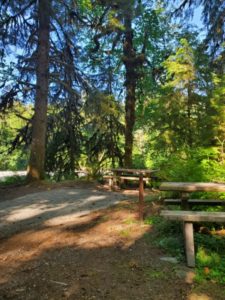 Queets Campground - Olympic National Park | Park Ranger John