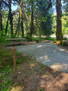 Queets Campground - Olympic National Park | Park Ranger John