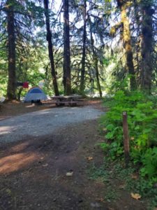Queets Campground - Olympic National Park | Park Ranger John