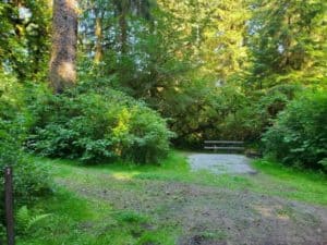 Queets Campground - Olympic National Park | Park Ranger John