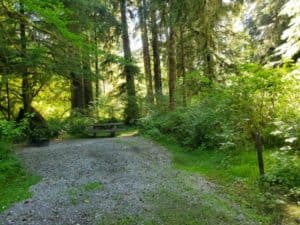 Queets Campground - Olympic National Park | Park Ranger John