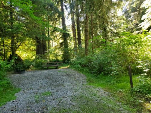 Queets Campground - Olympic National Park | Park Ranger John