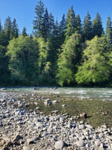 Queets Campground - Olympic National Park | Park Ranger John