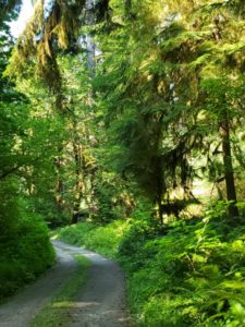 Queets Campground - Olympic National Park | Park Ranger John