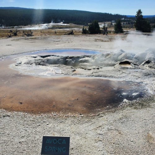 Biscuit Basin - Yellowstone National Park {Video} | Park Ranger John
