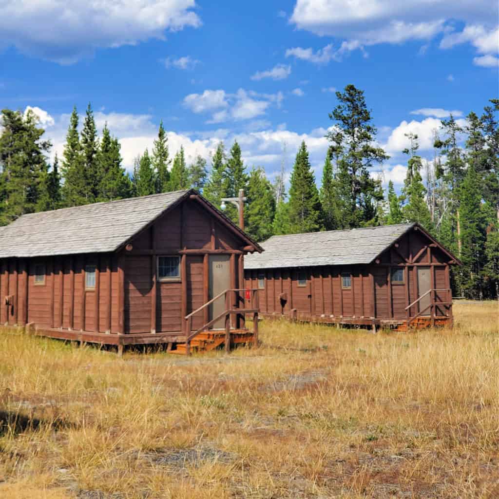 Lake Lodge Cabins: Front Row Seats to Yellowstone's Best Wildlife Show ...