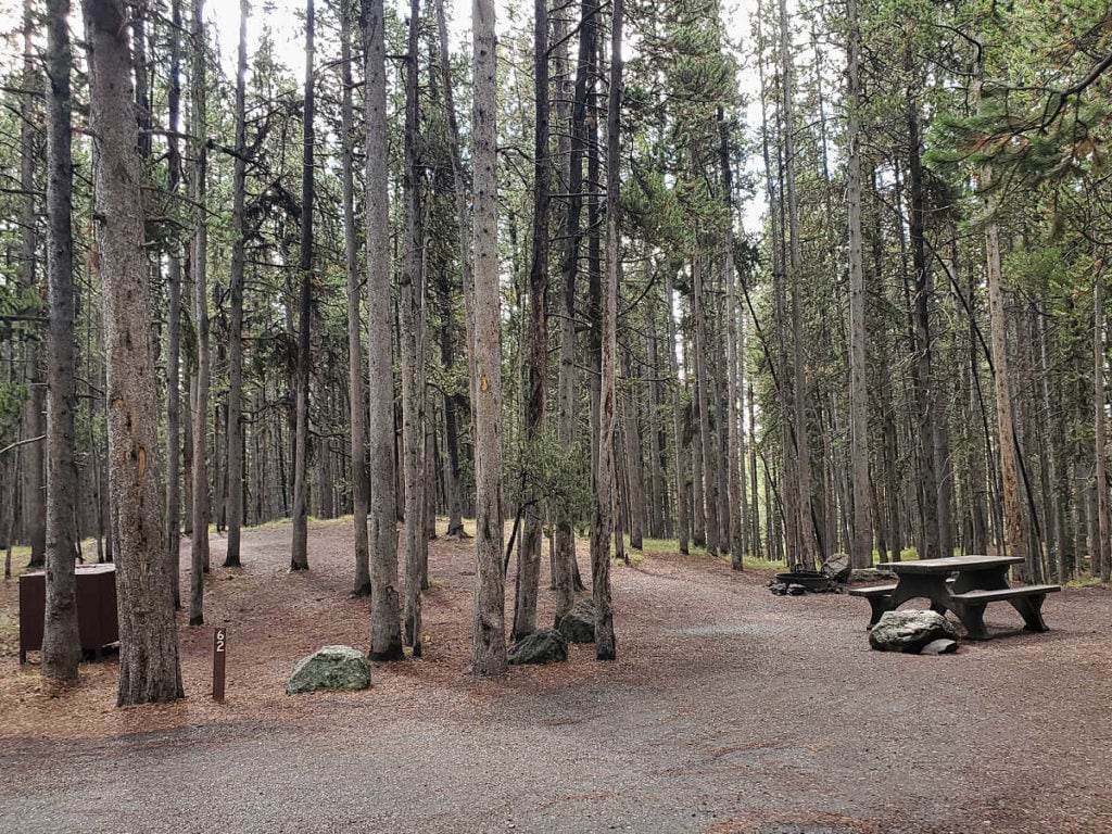 Canyon Campground - Yellowstone National Park {Video} | Park Ranger John