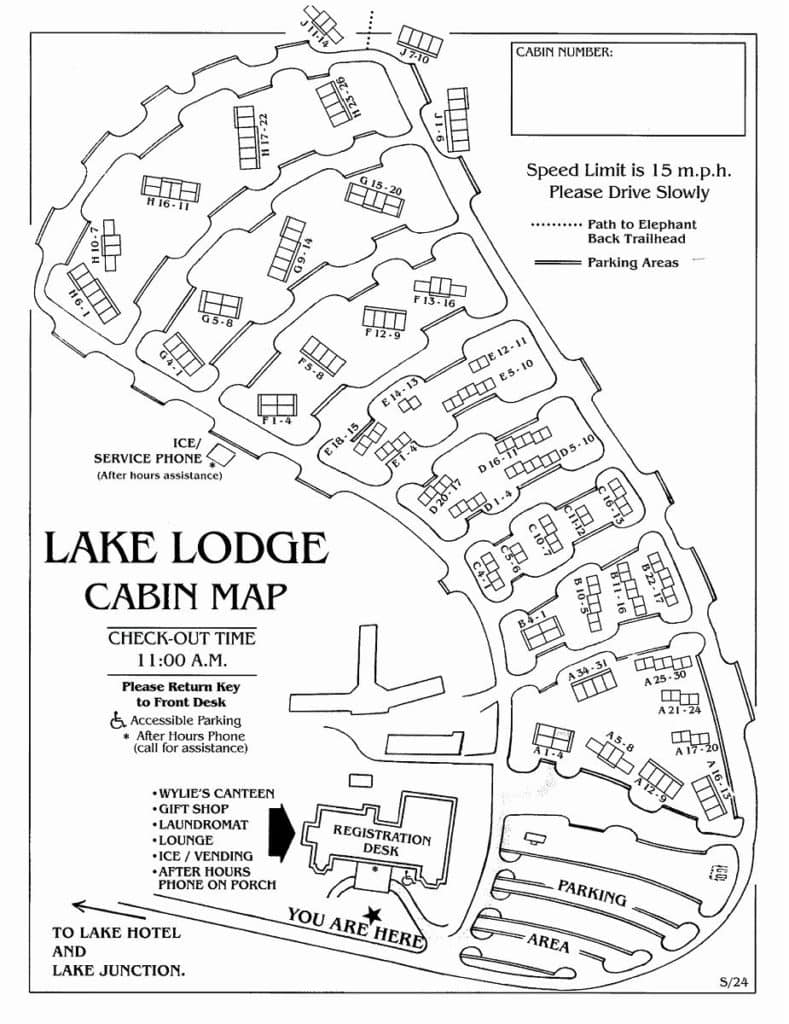 Lake Lodge Cabins: Front Row Seats to Yellowstone's Best Wildlife Show ...