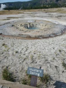 Biscuit Basin - Yellowstone National Park {Video} | Park Ranger John