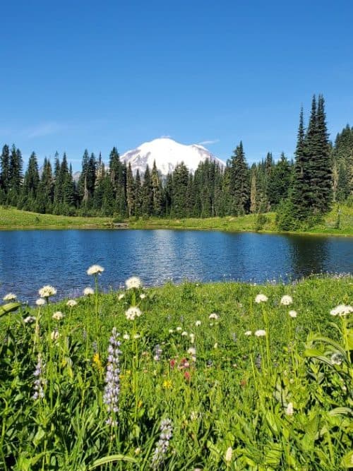 Tipsoo Lake - Mount Rainier National Park {Video} | Park Ranger John