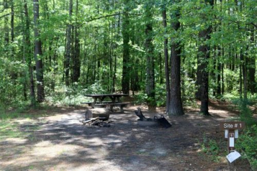 Congaree National Park Camping - South Carolina | Park Ranger John