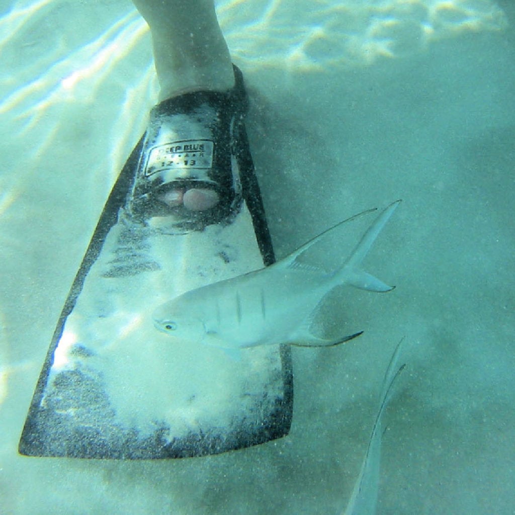 Trunk Bay Virgin Islands National Park | Park Ranger John
