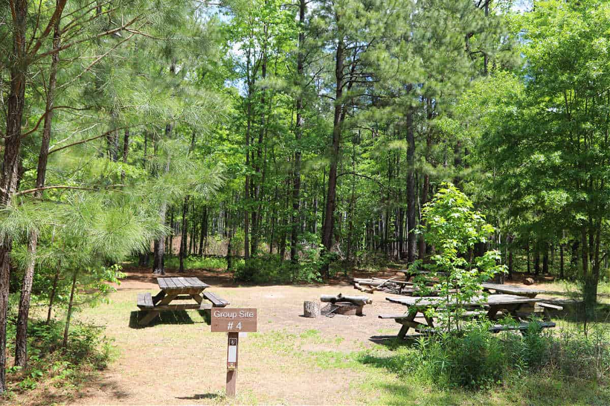Congaree National Park Camping - South Carolina | Park Ranger John