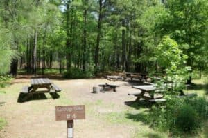 Congaree National Park Camping - South Carolina | Park Ranger John