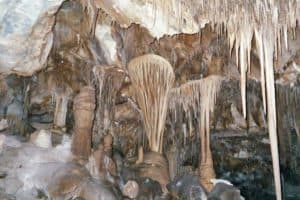 Things to do in Great Basin National Park | Park Ranger John