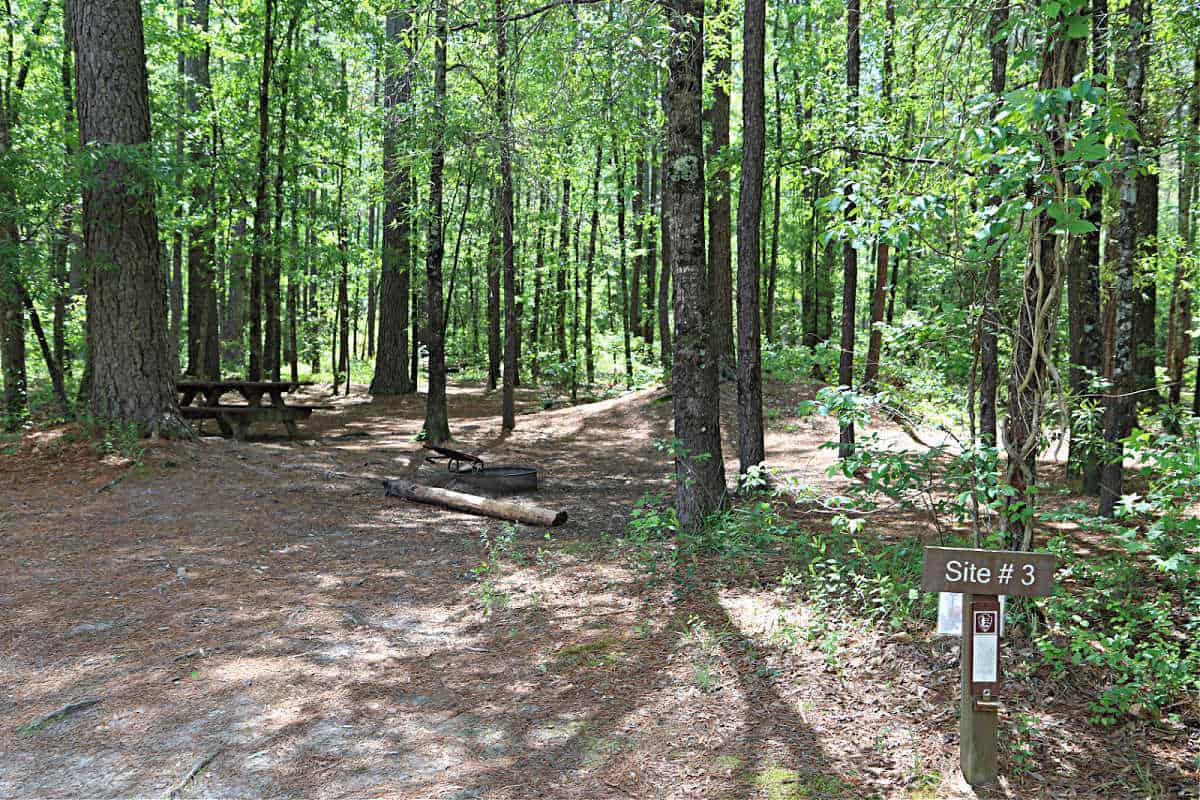 Congaree National Park Camping - South Carolina | Park Ranger John