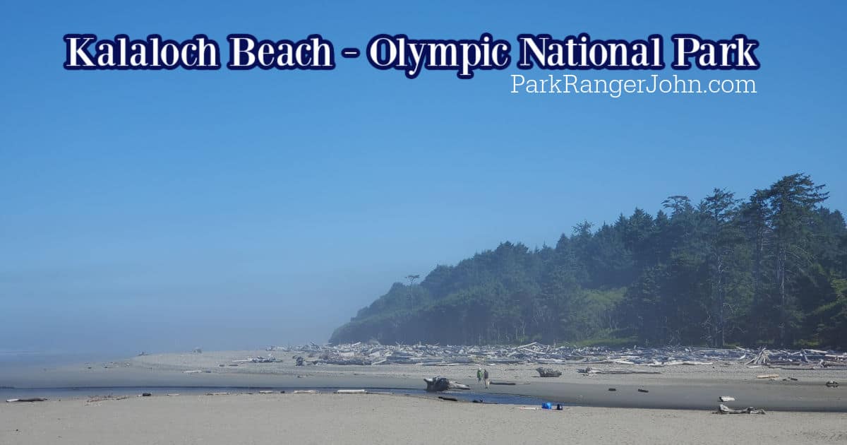 Kalaloch Beach - Olympic National Park | Park Ranger John