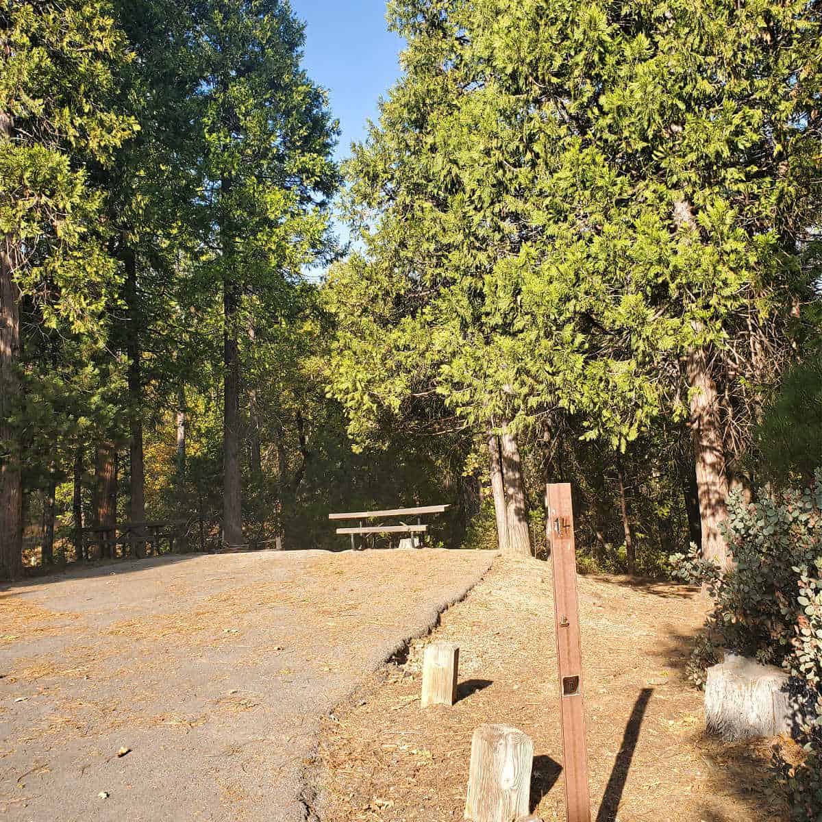 Cedar Bluff Campground - Bass Lake California | Park Ranger John