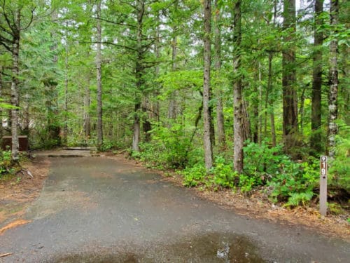 Newhalem Creek Campground - North Cascades National Park | Park Ranger John