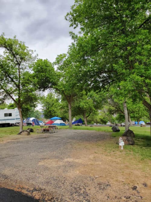 Spring Canyon Campground - Lake Roosevelt National Recreation Area ...