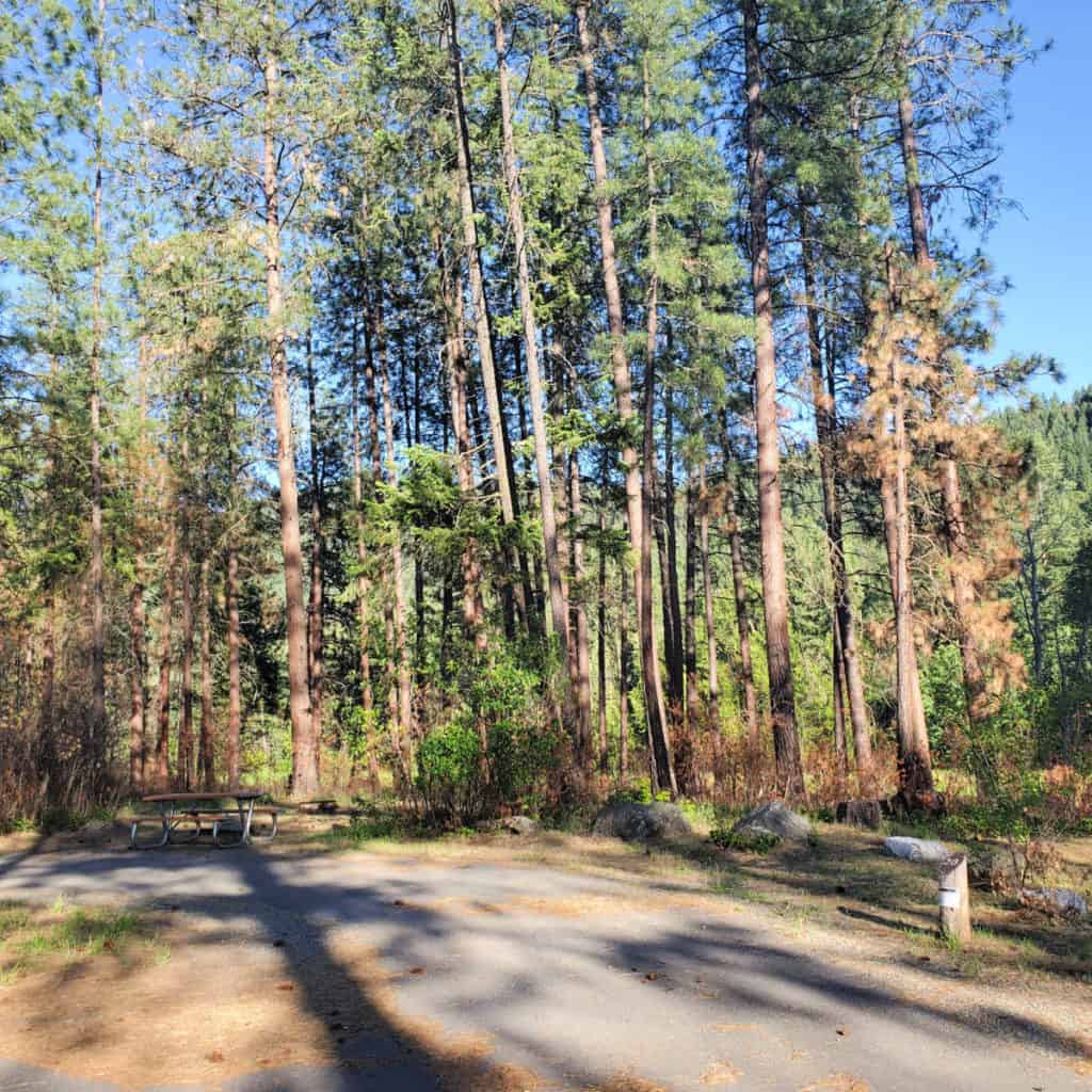 Marcus Island Campground - Lake Roosevelt National Recreation Area ...