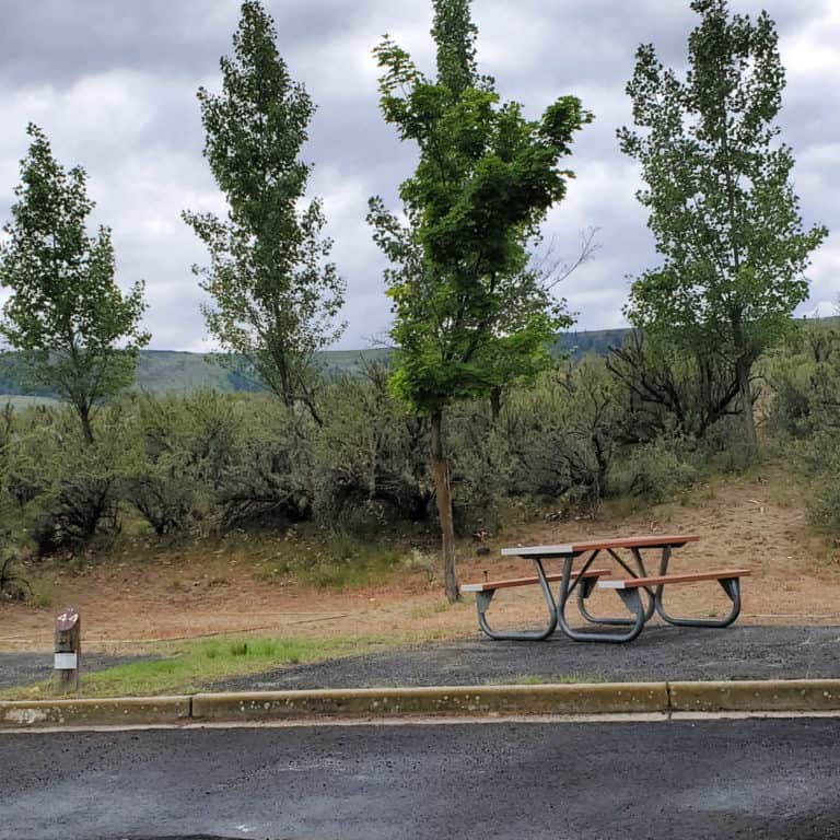 Spring Canyon Campground - Lake Roosevelt National Recreation Area ...