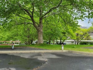 Spring Canyon Campground - Lake Roosevelt National Recreation Area ...