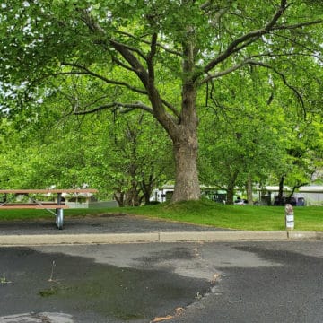 Spring Canyon Campground - Lake Roosevelt National Recreation Area ...