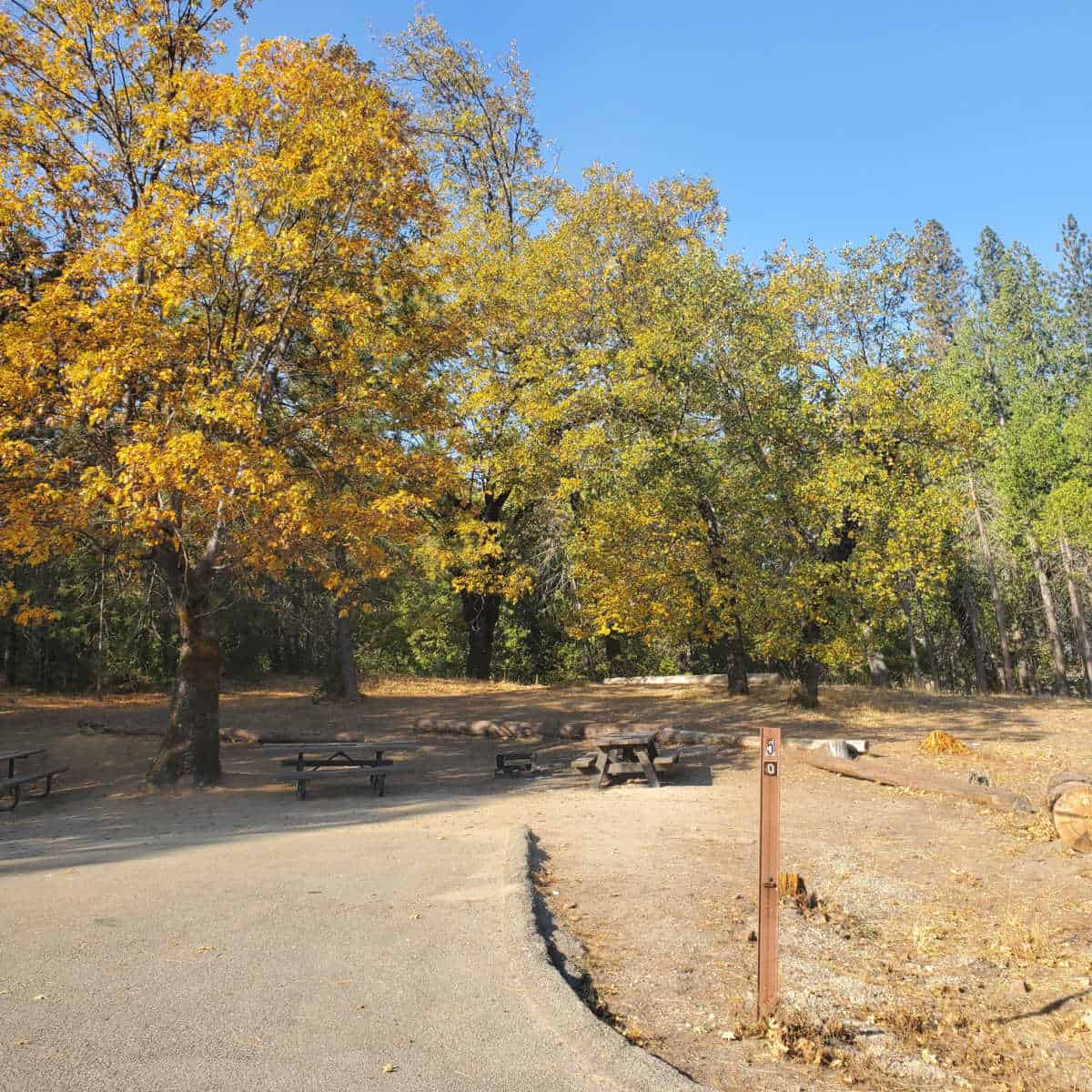 Cedar Bluff Campground - Bass Lake California | Park Ranger John