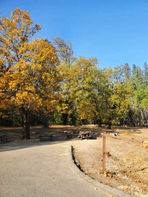 Cedar Bluff Campground - Bass Lake California {Video} | Park Ranger John