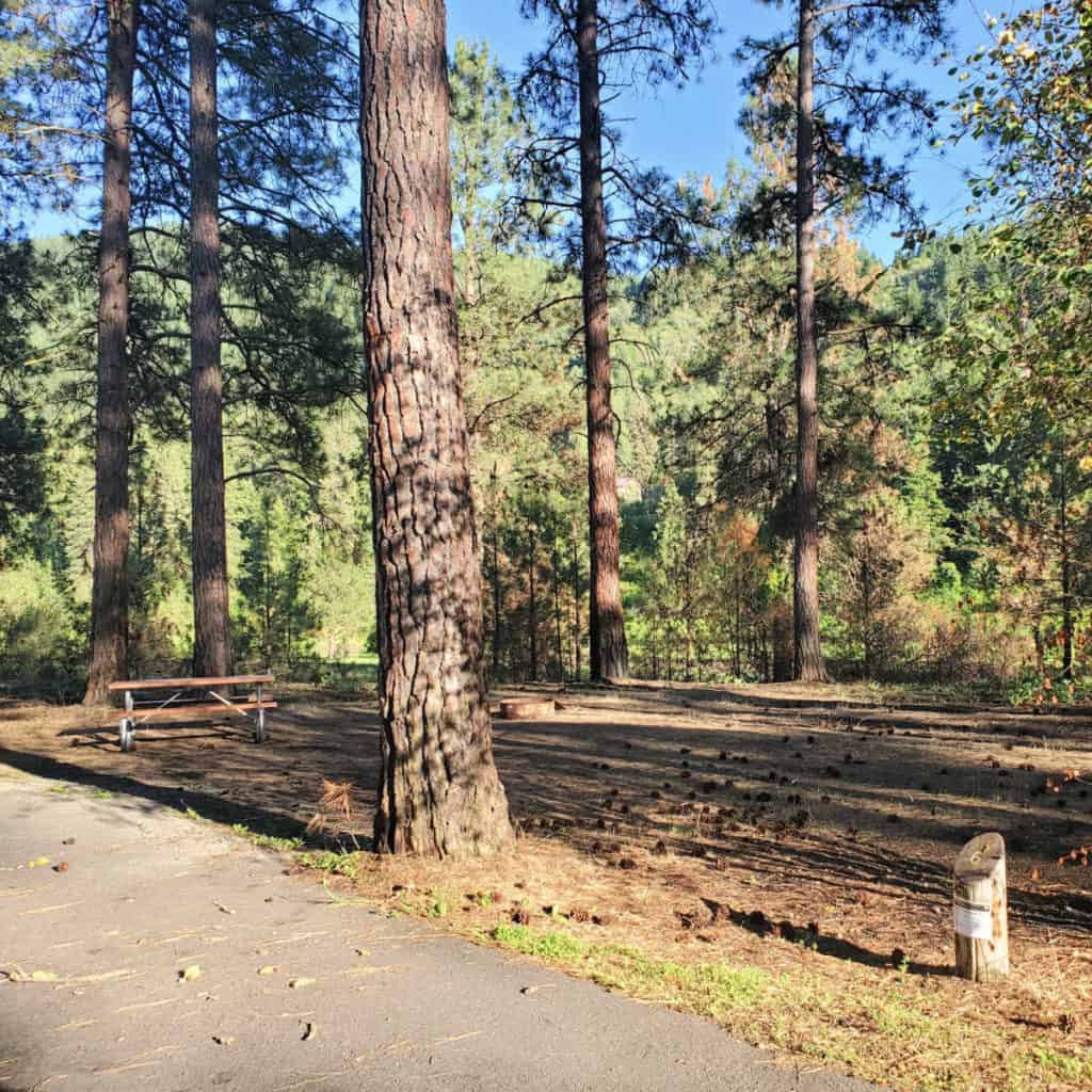 Marcus Island Campground - Lake Roosevelt National Recreation Area ...