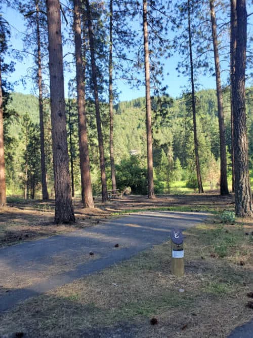 Marcus Island Campground - Lake Roosevelt National Recreation Area ...