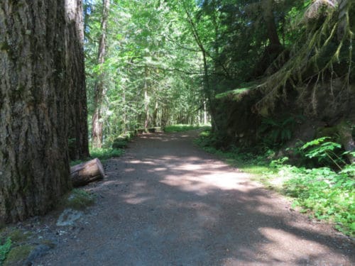 Silver Falls Loop Trail - Mount Rainier National Park | Park Ranger John