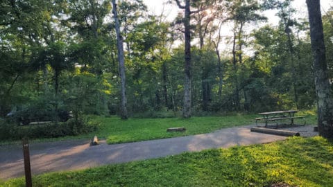 Lewis Mountain Campground - Shenandoah National Park | Park Ranger John