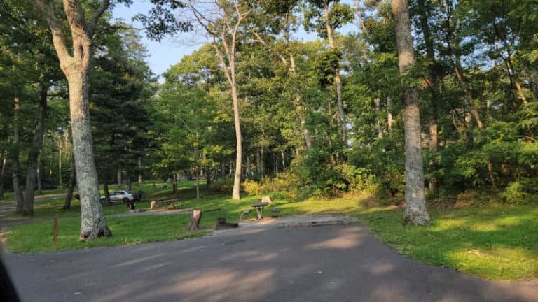 Lewis Mountain Campground - Shenandoah National Park | Park Ranger John