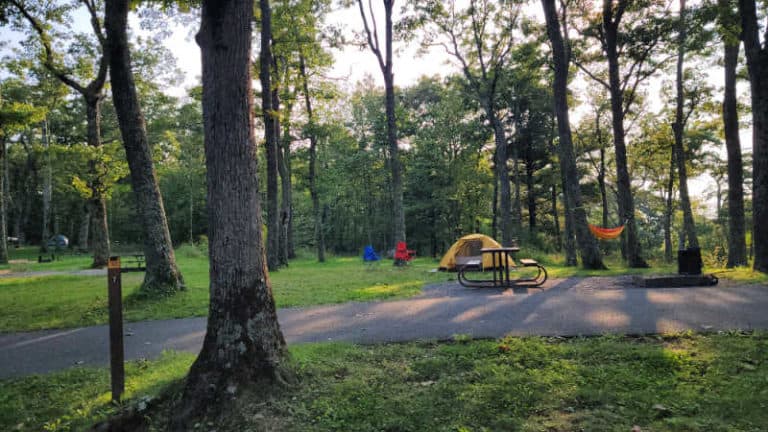 Lewis Mountain Campground - Shenandoah National Park | Park Ranger John