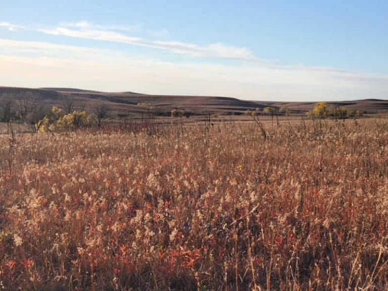 5 Epic National Parks in Kansas | Park Ranger John