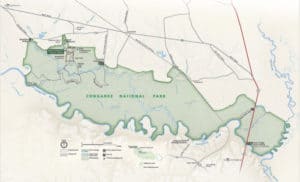 Congaree National Park - Epic Guide 2023 | Park Ranger John