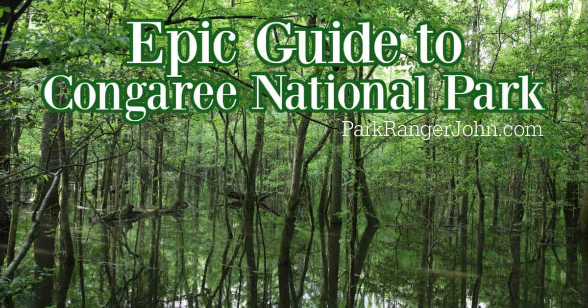 Congaree National Park - Epic Guide 2023 | Park Ranger John