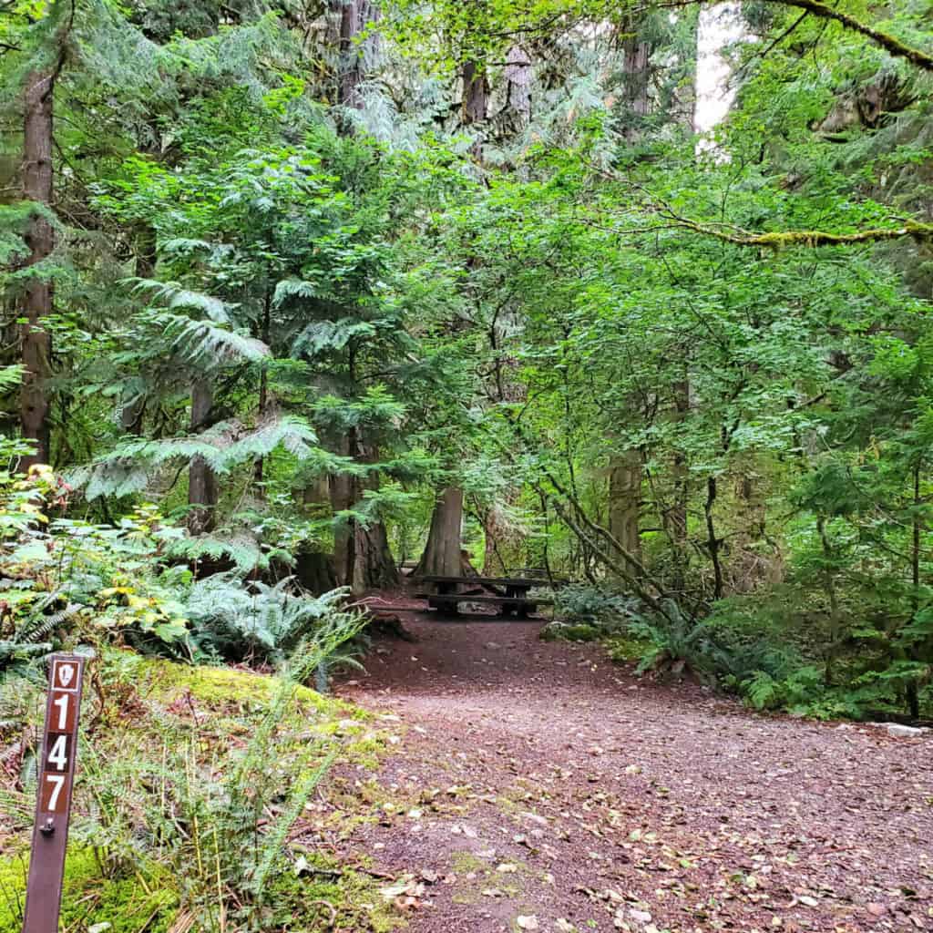 Where to go car camping for North Cascades National Park | Park Ranger John