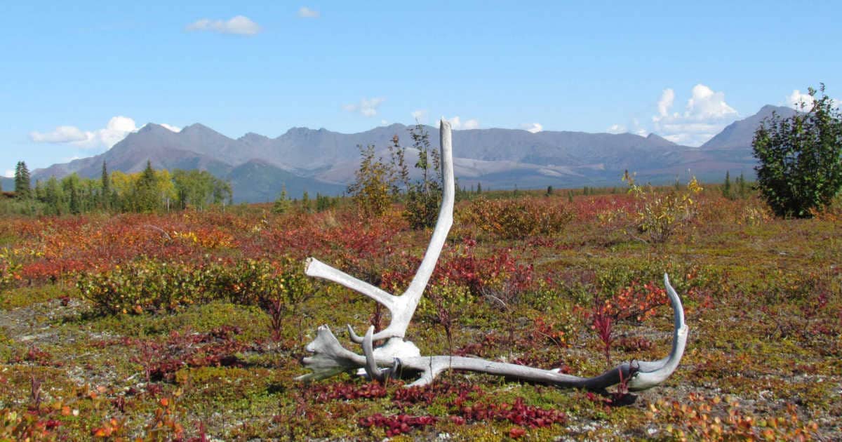 Kobuk Valley National Park | Park Ranger John