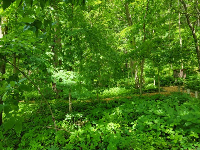 Effigy Mounds National Monument - Iowa | Park Ranger John