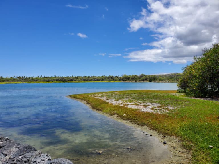 Kaloko Honokohau National Historical Park - Hawaii | Park Ranger John