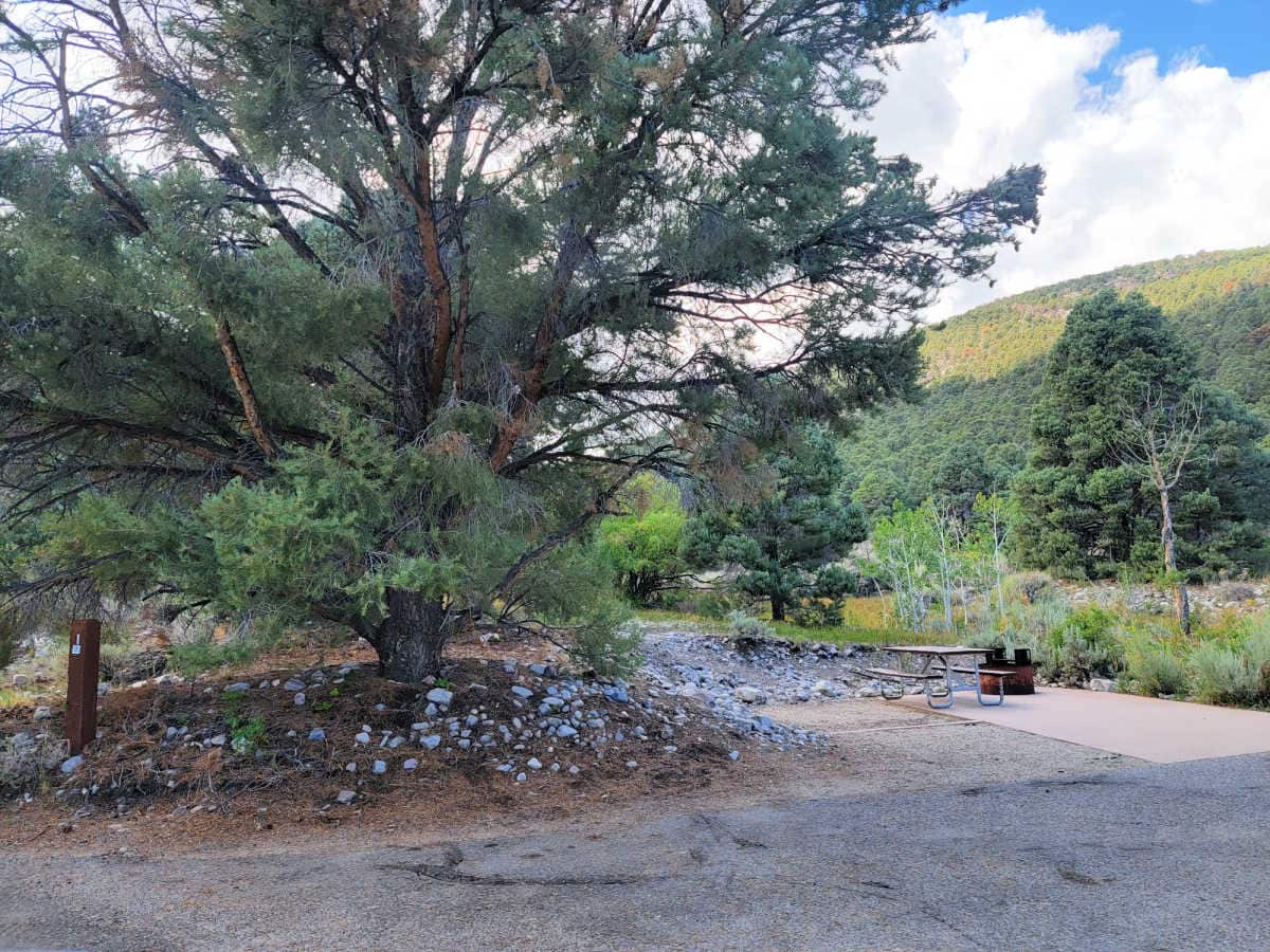 Lower Lehman Creek Campground - Great Basin National Park | Park Ranger ...
