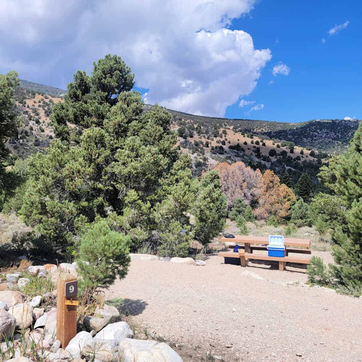 Baker Creek Campground - Great Basin National Park | Park Ranger John