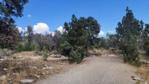 Grey Cliffs Campground - Great Basin National Park | Park Ranger John