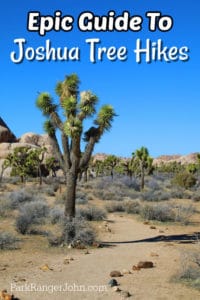 Epic Guide to Joshua Tree Hikes! | Park Ranger John