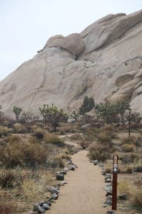 Epic Guide to Joshua Tree Hikes! | Park Ranger John